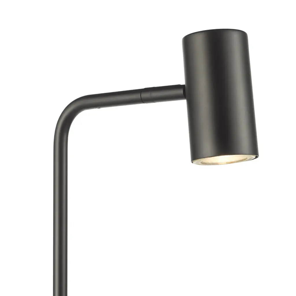 Dar Lighting THI4922 Thierry Matt Black Floor Lamp | jrlighting.co.uk